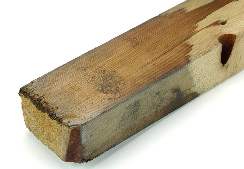 BVDA - Silver Nitrate solution