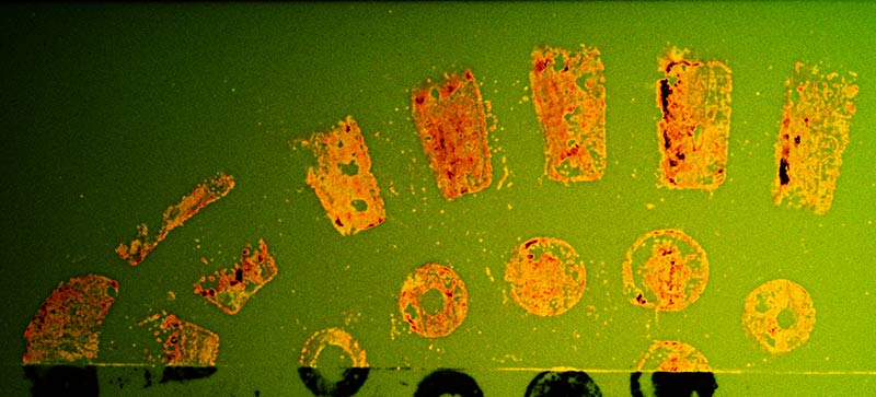 BVDA - Hungarian Red