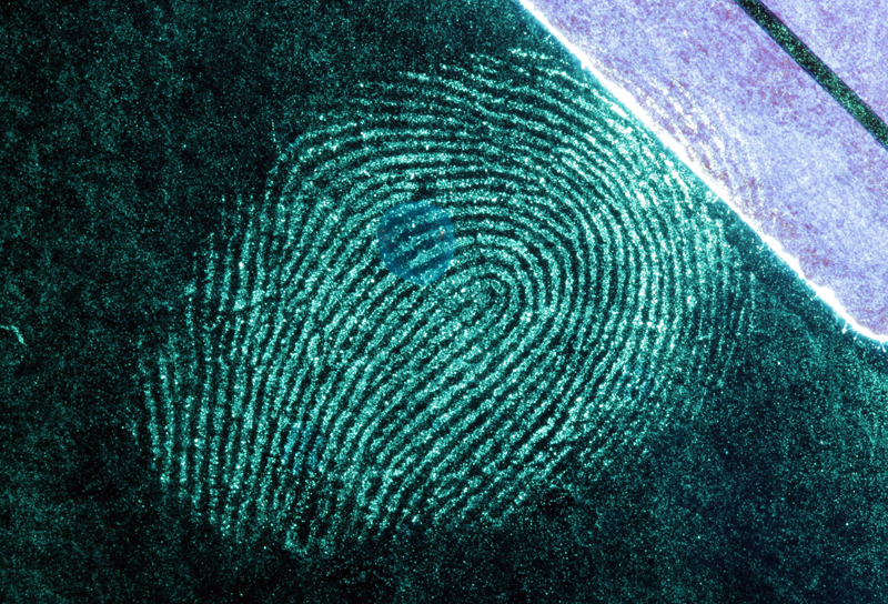 BVDA - Small particle reagent